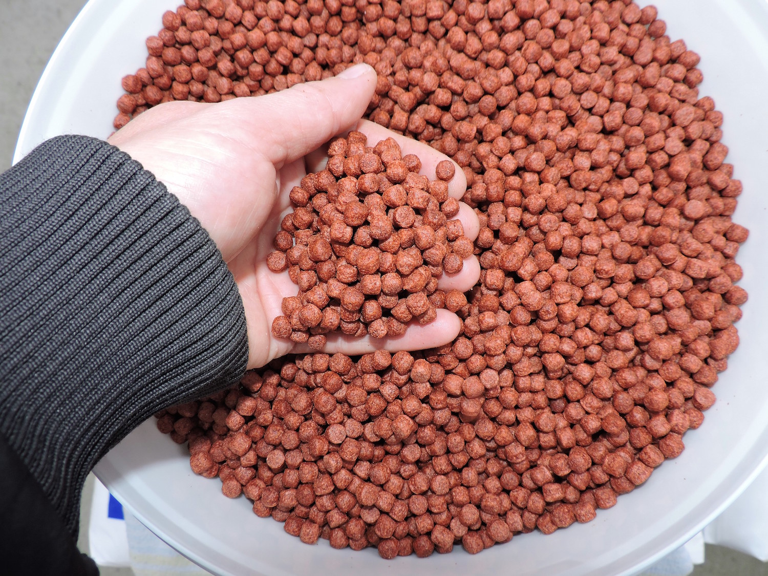 Fischfutter kaufen | fischlando by FISCHGUT PRIMUS